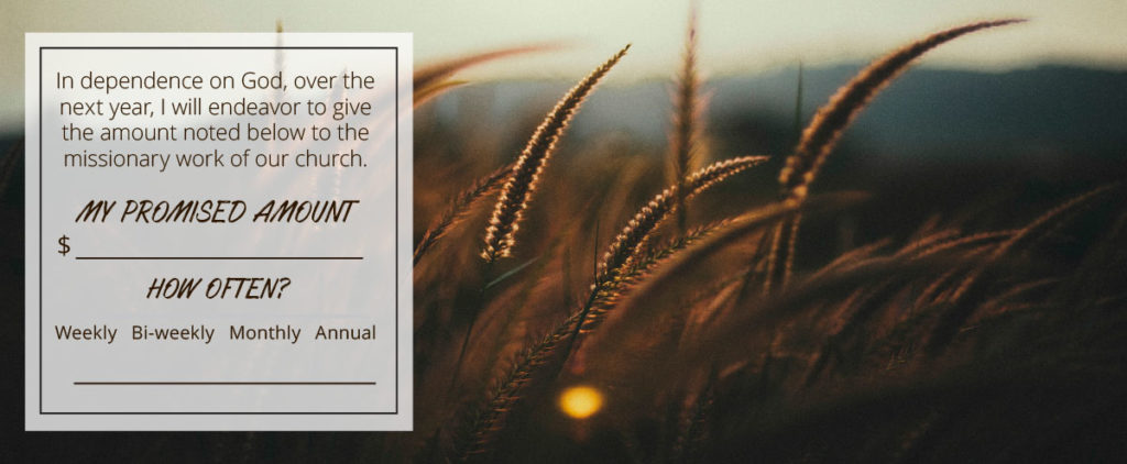 Faith Promise — World Wide New Testament Baptist MissionsWorld Wide New ...