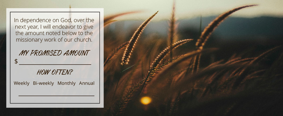 Faith Promise — World Wide New Testament Baptist MissionsWorld Wide New ...